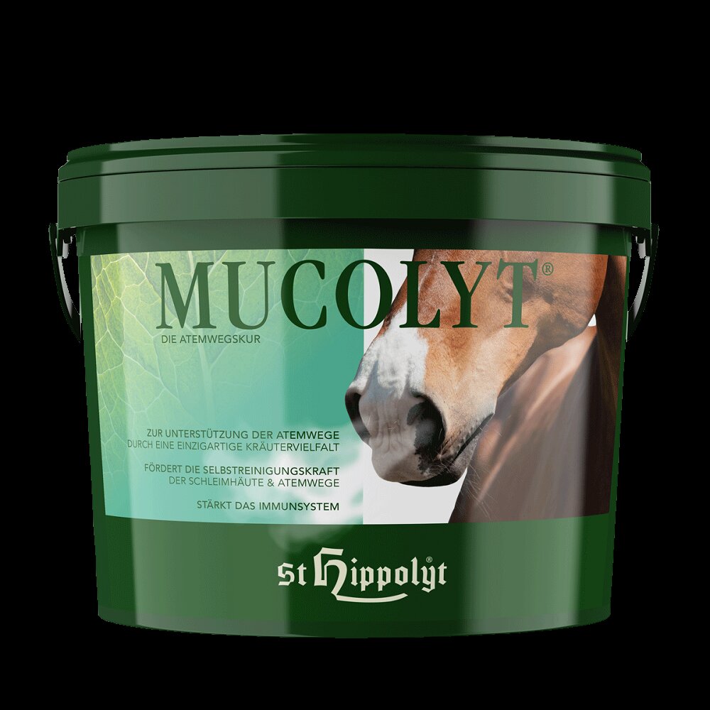 St. Hippolyt Mucolyt Atemwegskur 10 kg, 85,35
